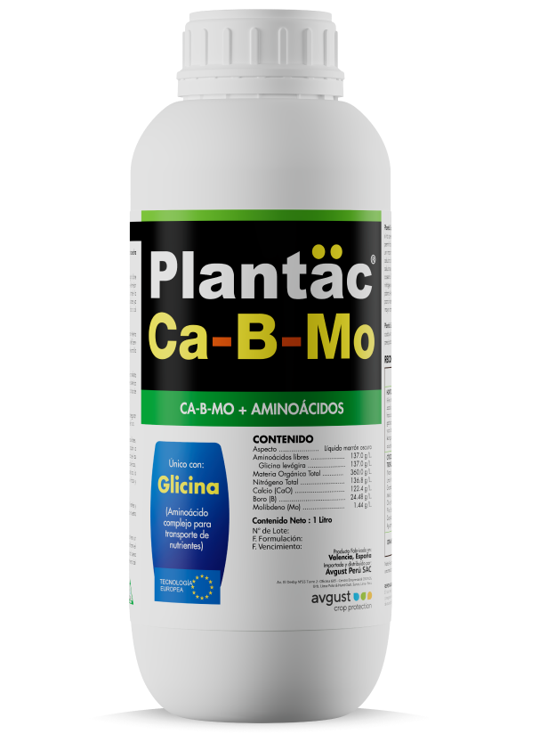 Plantäc Ca-B-Mo – Avgust